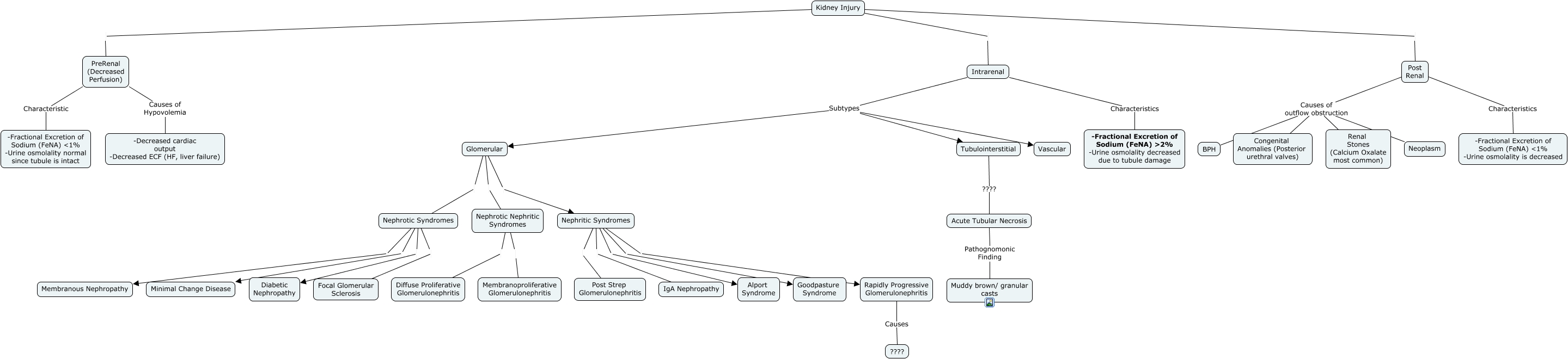 Renal Pathology DRAFT